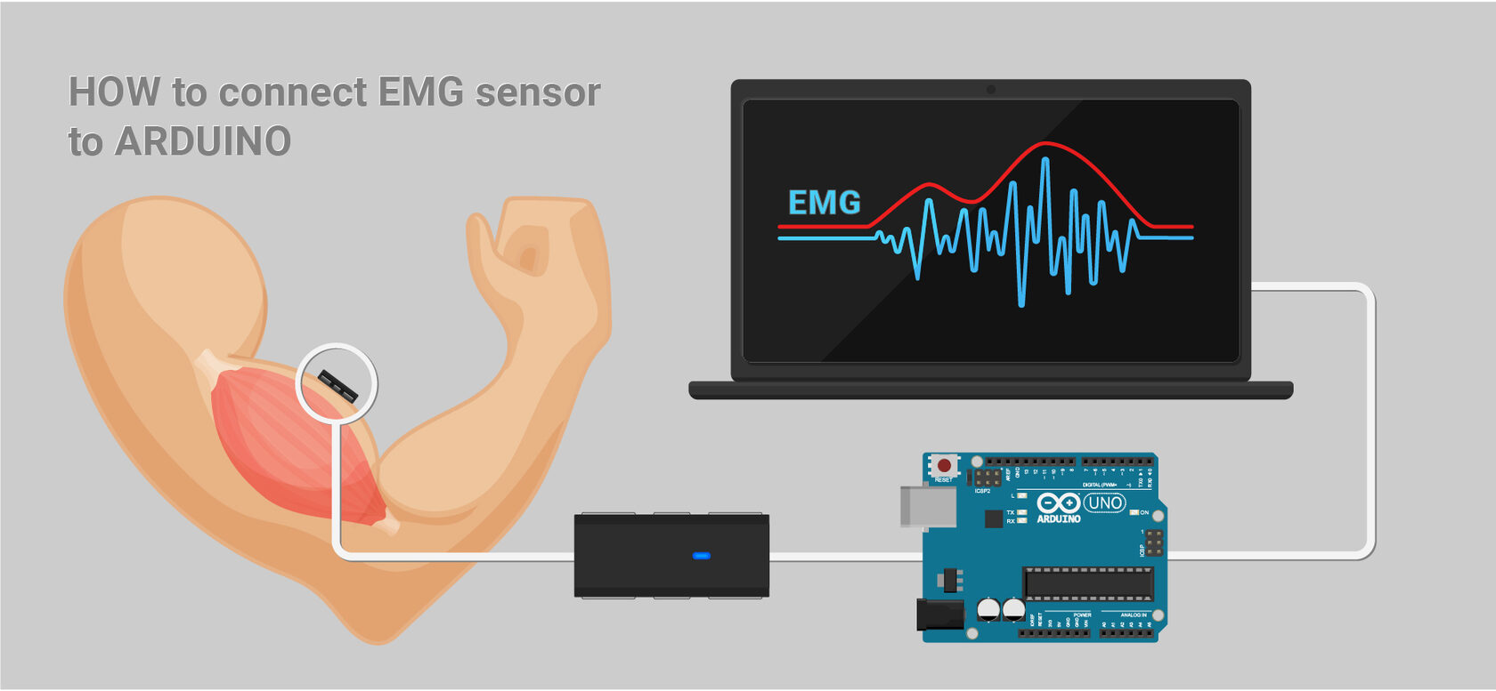 Muscle Sensor MYO v1.5: connection to Arduino