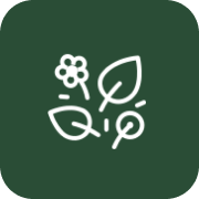 Greeneration | Edible Flowers, Microgreens, Specialities in Dubai