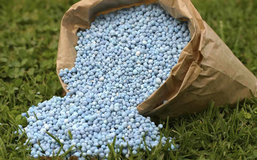 Organic Fertilizers: What Are They and How Do They Improve Your Crop ...
