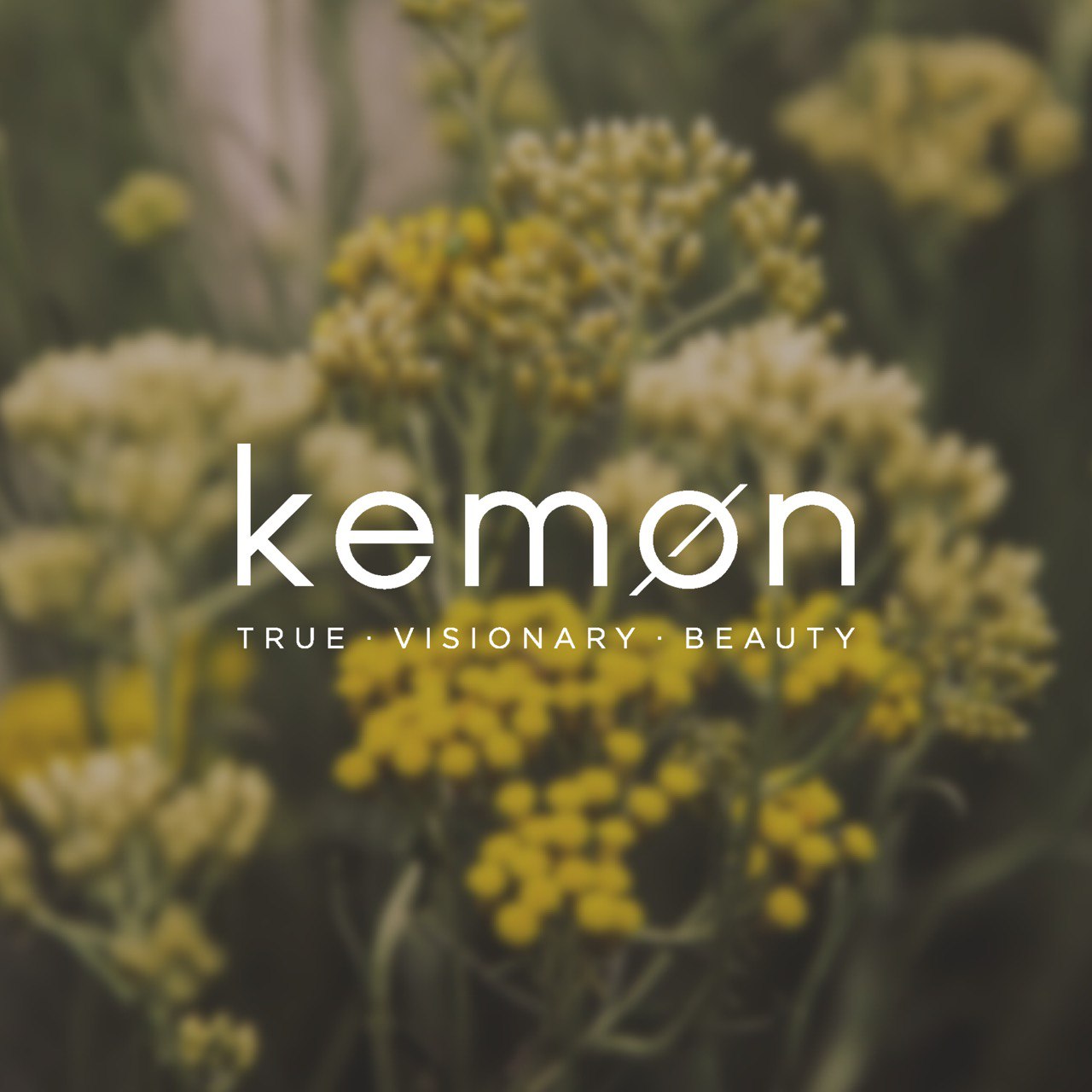 Kemon Україна: офіційний інтернет-магазин косметики Кємон