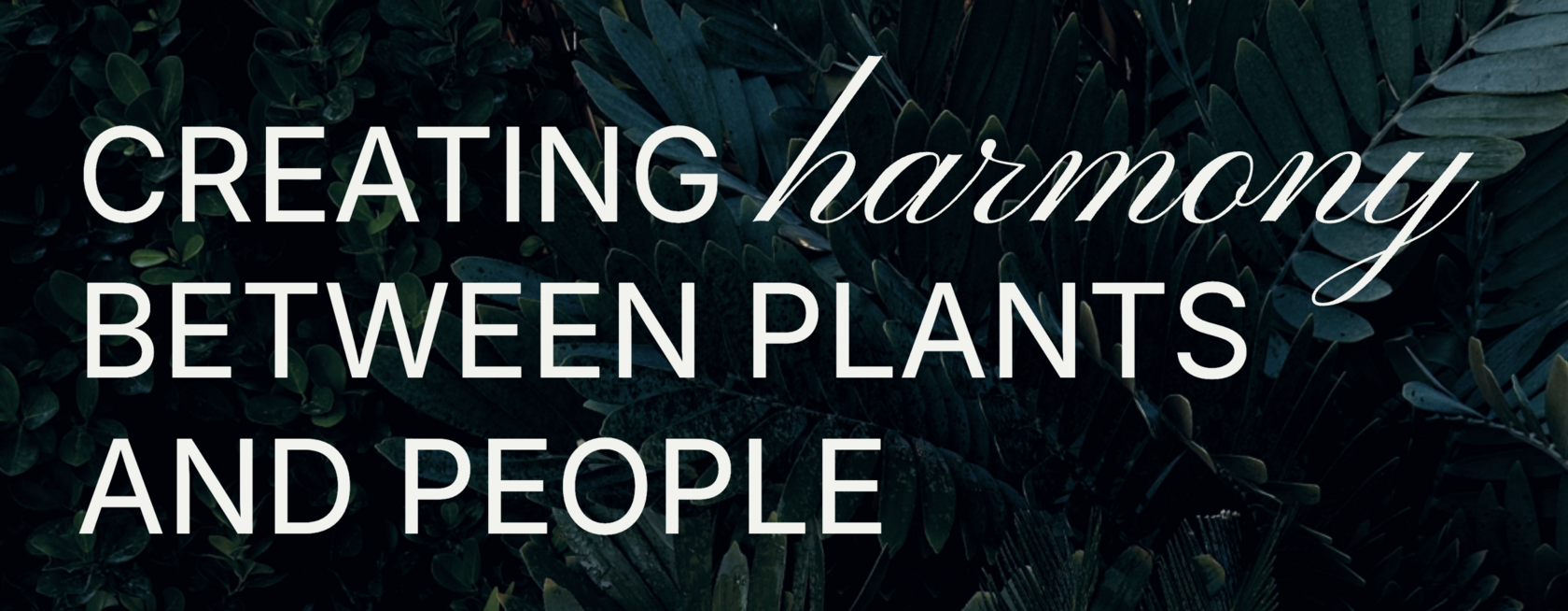 InOut Landscape Dubai