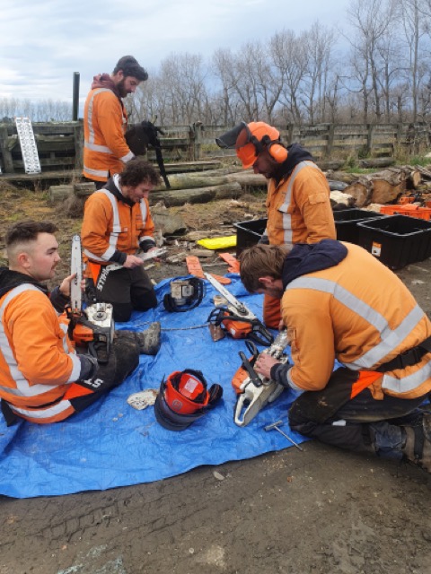 Gallery | PCTI New Zealand