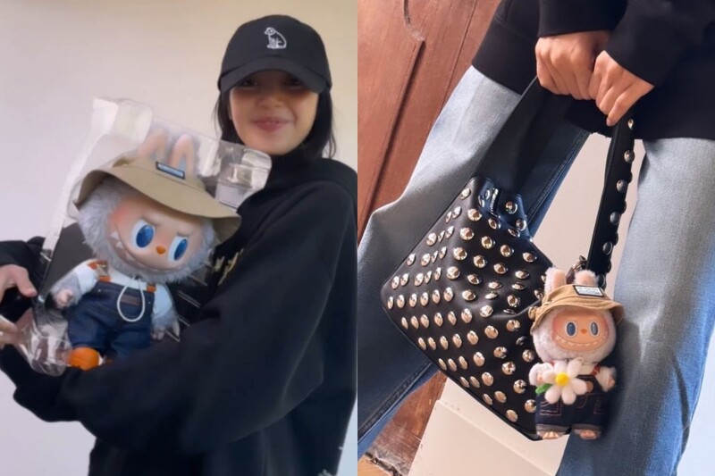 2025 Полный гид по проверке подлинности Лабубу : как отличить оригинал ...