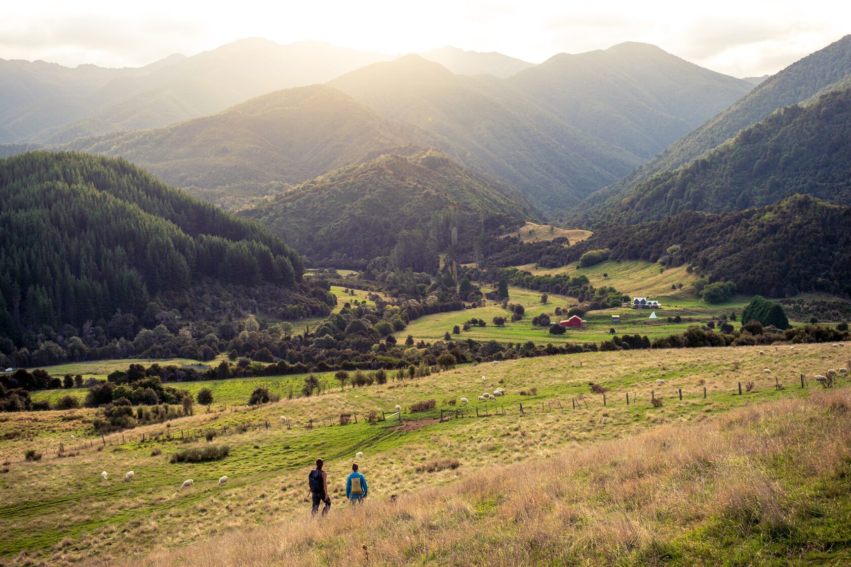 Discover The Baton House Experience