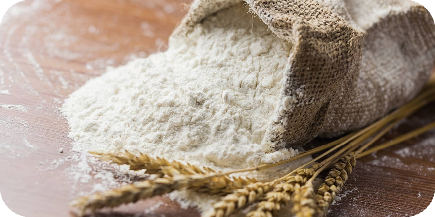 Grain trader in Dubai | Grain trading company Grainstar AST