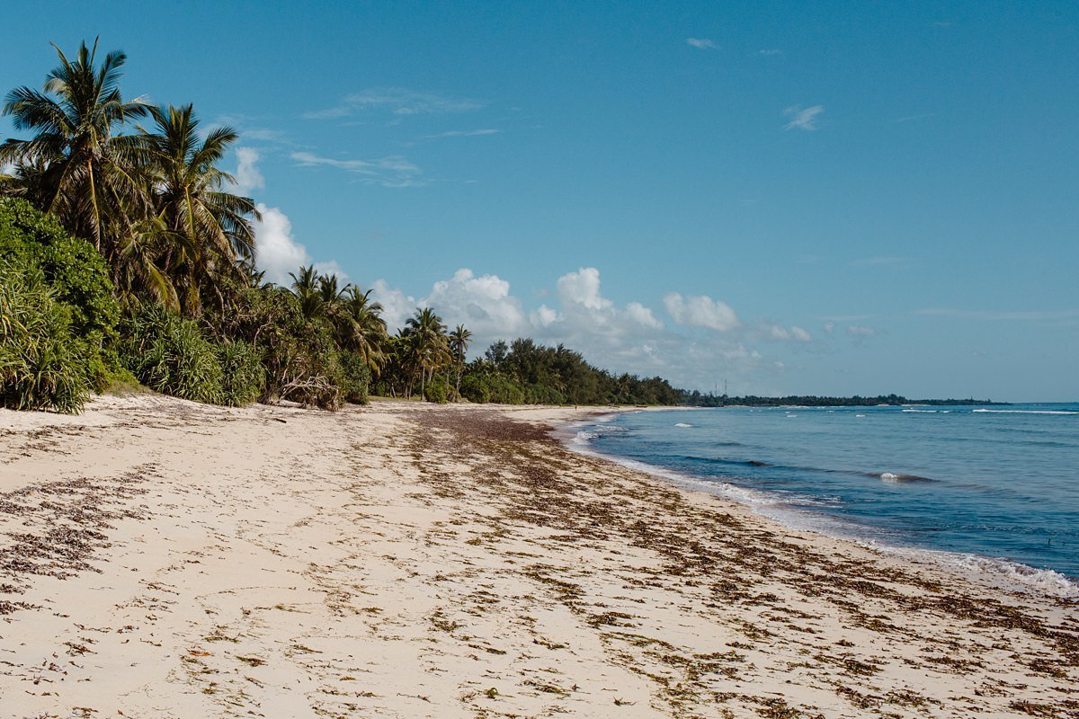Msambweni Beach House - Top Rated Destination In Kenyan Coast ...