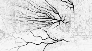 WetWare BCN