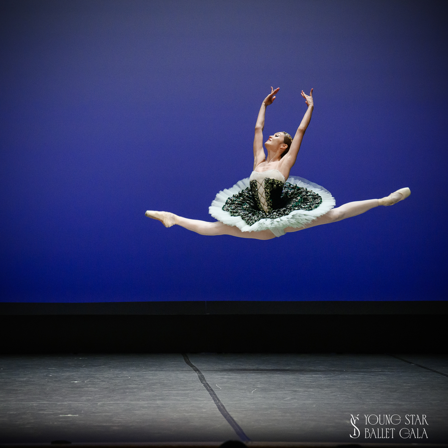 Young Star Ballet Galla