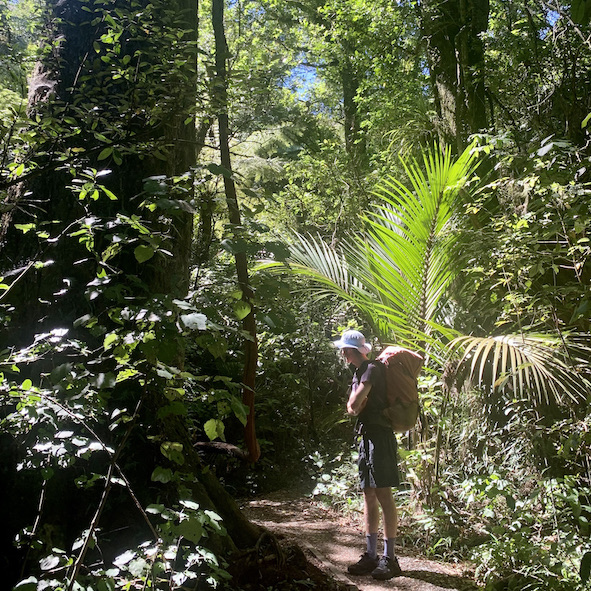 Aaron Stallard for NCC 2022