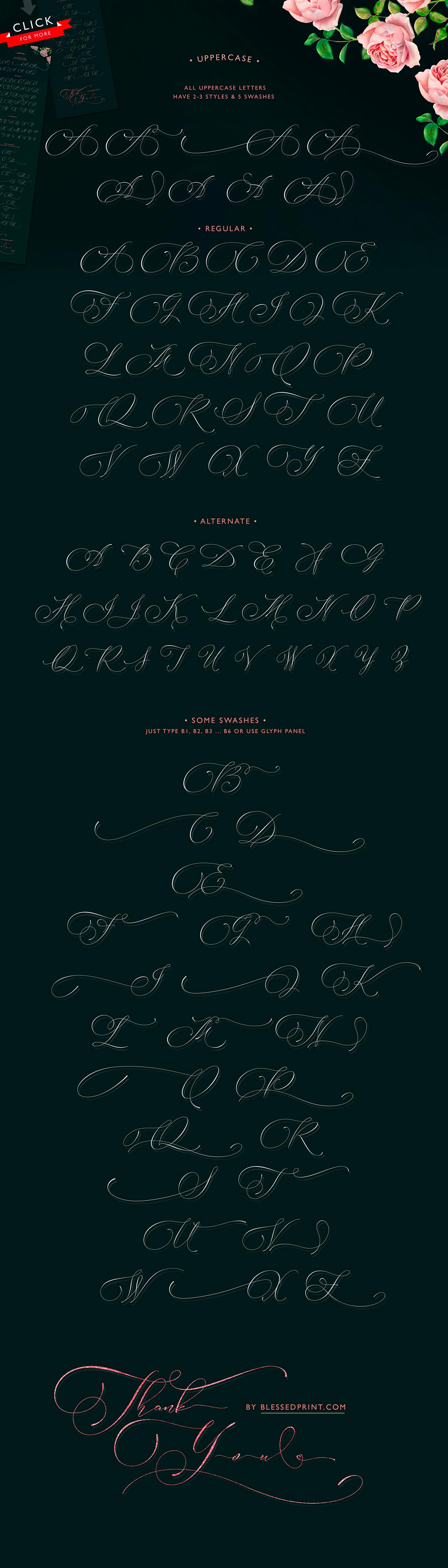 Sophia Font | Script fonts - Blessed Print