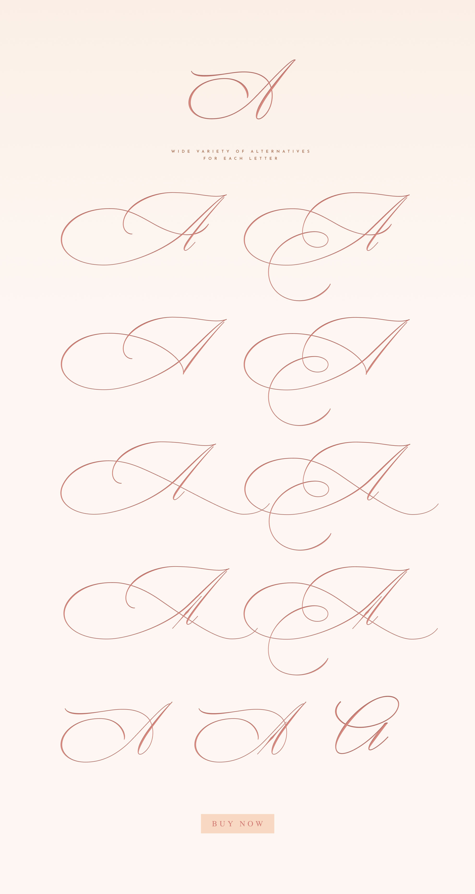 Ecatherina Font | Spencerian scripts - Blessed Print