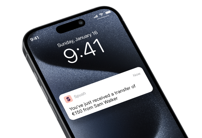 Spush | Simplifying Your Digital Finance