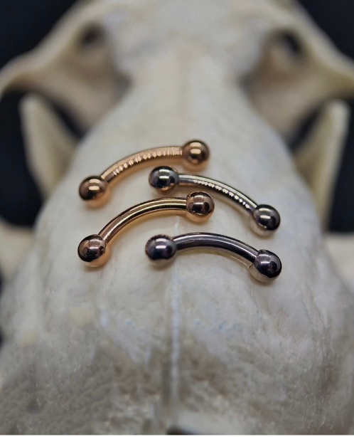 Professional Piercing in Edinburgh | Sanatorium Tattoo