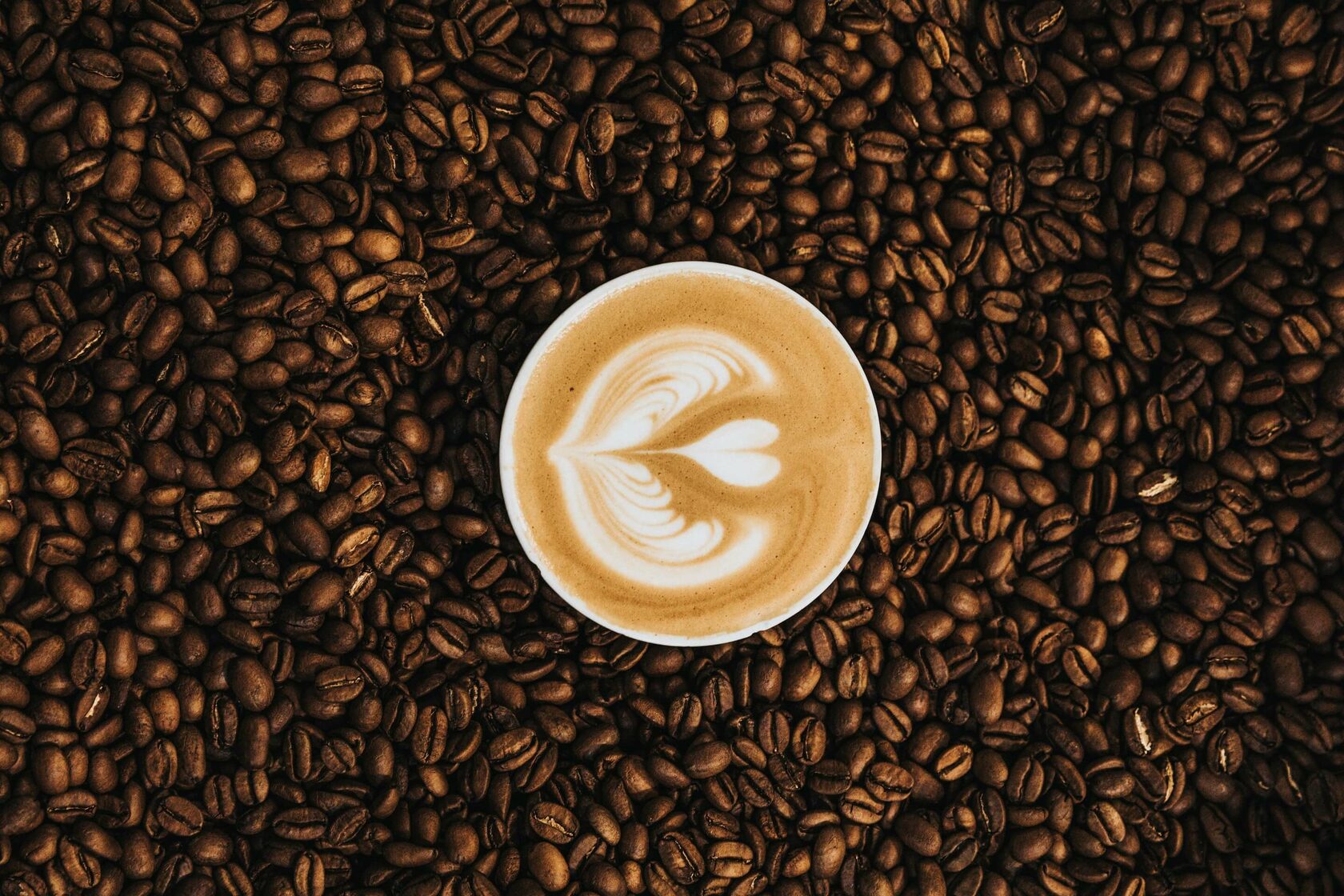 The Future of Coffee: Three opportunity areas for UK innovation in 2024