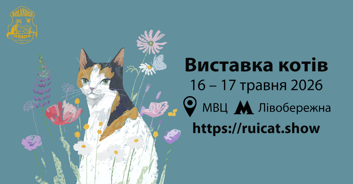 RUI Cat Show
