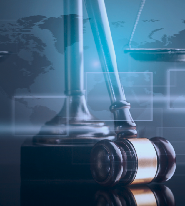 International Debt Collection Agency Services